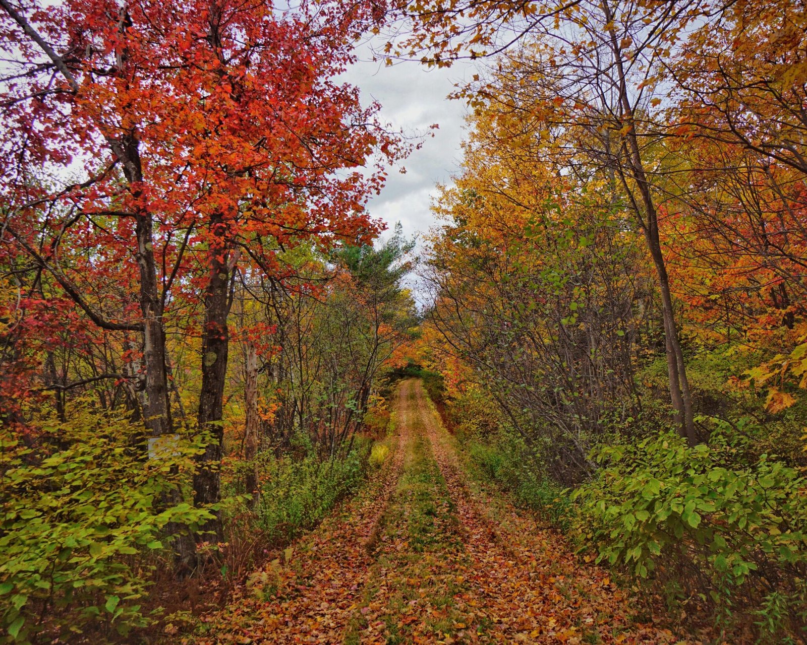 Best Scenic Drives in New England: The Ultimate Fall Foliage Guide ...